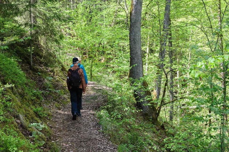 Sigulda Hiking Tour: A Day in the Switzerland of Latvia - What to Expect on the Day