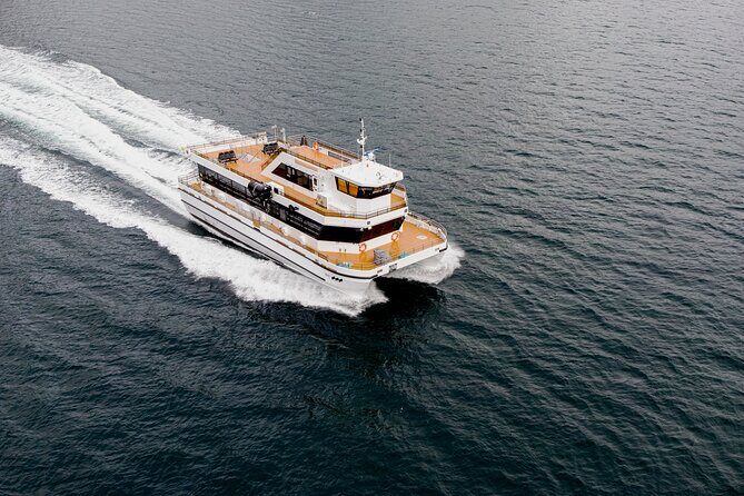 Silent Whale Watching on Hybrid-Electric Boat with Scenic Bustrip - Practical Aspects: Value, Price, and Group Size