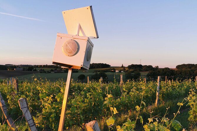 Simple Visit to Discover the Domaine d'Arton - Practical Details and Tips