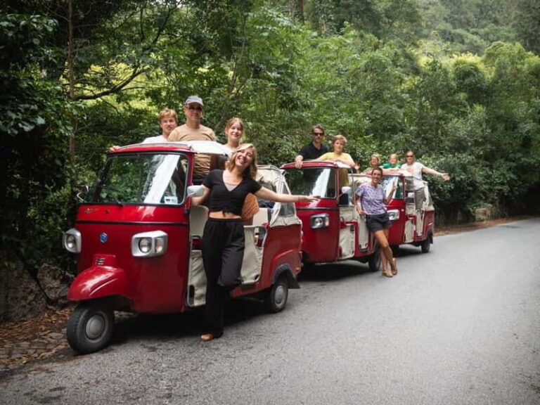 Sintra: 1-Hour Guided Tuk-Tuk Tour - Who Is This Tour Best For?