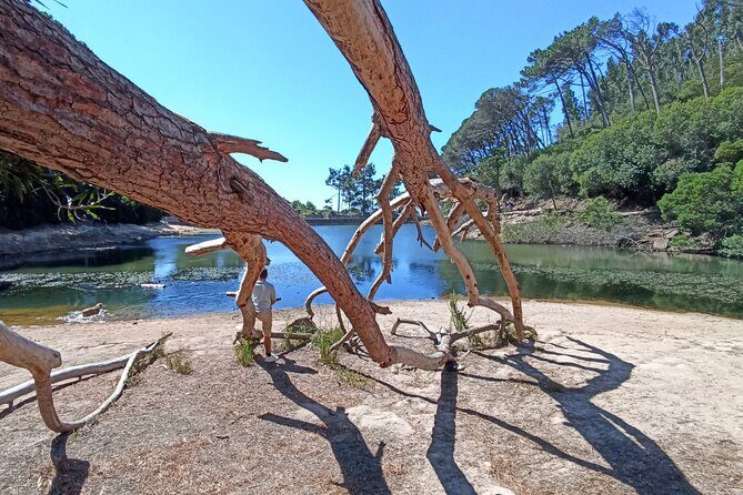 Sintra and Cascais and Hidden Places Experience - The Practical Side: What to Expect