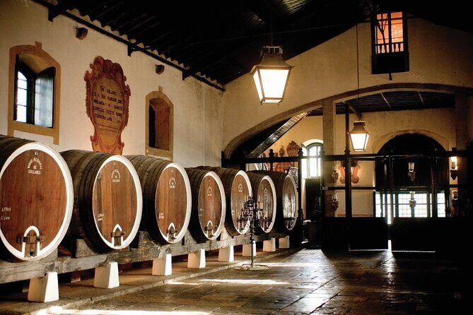 Sintra Private Convertible Wine Tour 2/3 Pax - Practical Details and Value