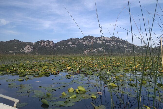 Skadar lake boat ride through "Montenegrin Amazon", wine tasting & Niagara falls - What to Expect in Terms of Value and Experience