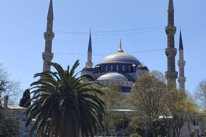 Skip Lines with Local Tour Guide Taha - Who Will Love This Tour?