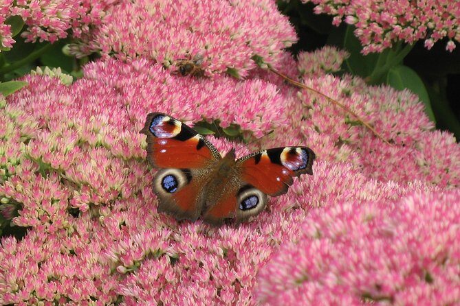 Skip-the-Line: Botanic Garden Entry Ticket - Who Will Love This Garden?