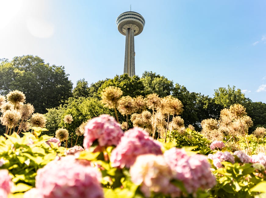 Skylon Tower seen above flower beds on a bright summer day
