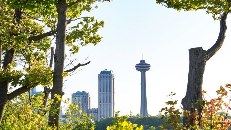 Niagara Falls skyline with Skylon Tower framed by green trees