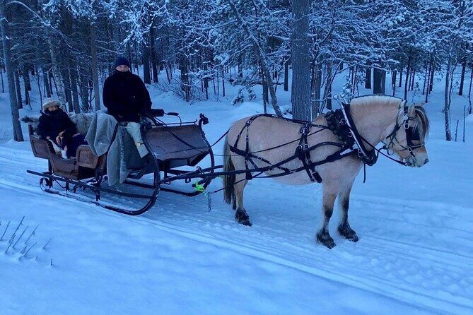 Sleigh or wagon ride in the arctic Country side - The Return Journey and Overall Value