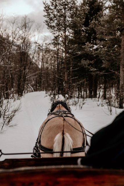 sleigh ride and dining experience - The Scenic Ride