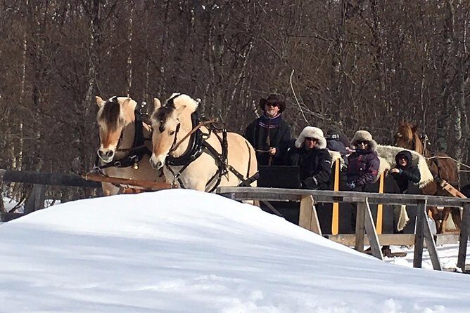 Sleigh Ride w/ snacks - Experience Arctic Farm Life - Practical Tips for Booking and Enjoying