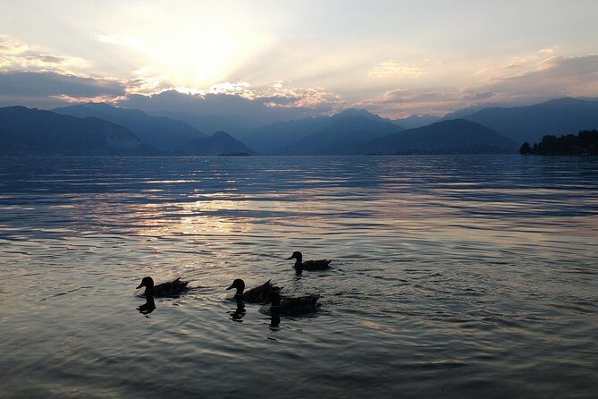 Slow boat tour for small groups with appetizer on Lake Maggiore - Detailed Breakdown of the Itinerary