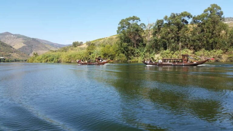 Small Group: Douro Valley Wine Tasting from Porto - Transportation and Group Size