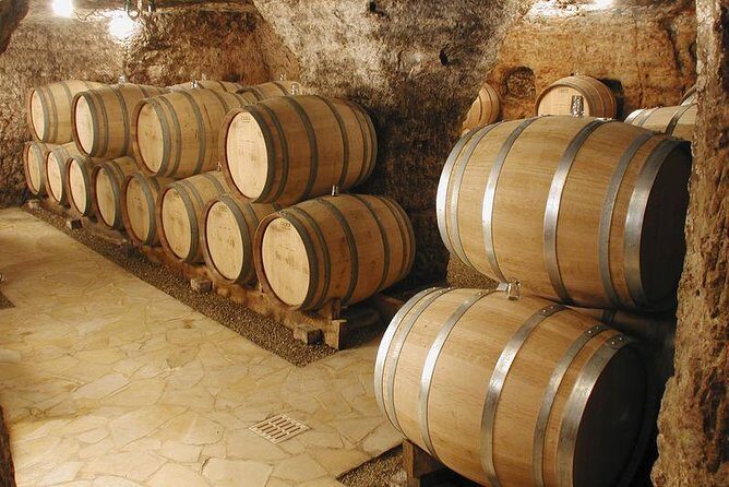 Small-Group Full-Day Private Wine Tour from Avignon - The Itinerary Breakdown: What You Can Expect