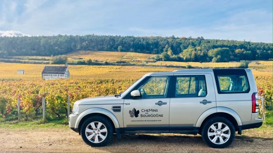 Small group full day tour in the Burgundy vineyards - The Sum Up: Is This Tour Worth It?
