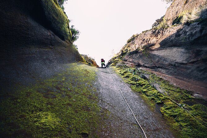 Small-Group Half-Day Canyoning in La Orotava - What to Expect on the Day