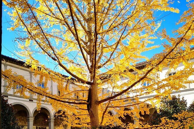 Small Group Medici and Michelangelo Tour in Florence - Practical Details and What to Expect