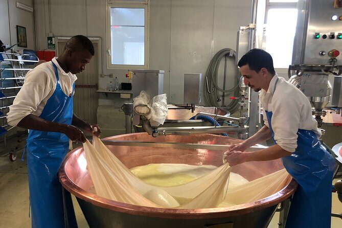 Small Group Reggio Half-Day Food & Wine Tour with Local Producers - Final Verdict