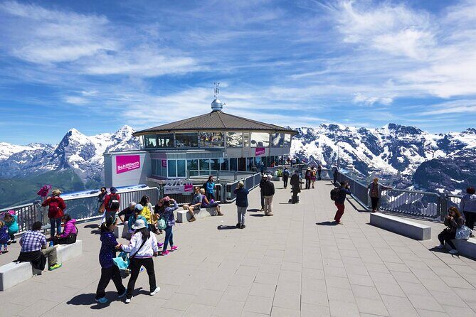 Small group tour to Schilthorn & Interlaken from Zurich (KTZ362) - What Travelers Say: Authentic Insights