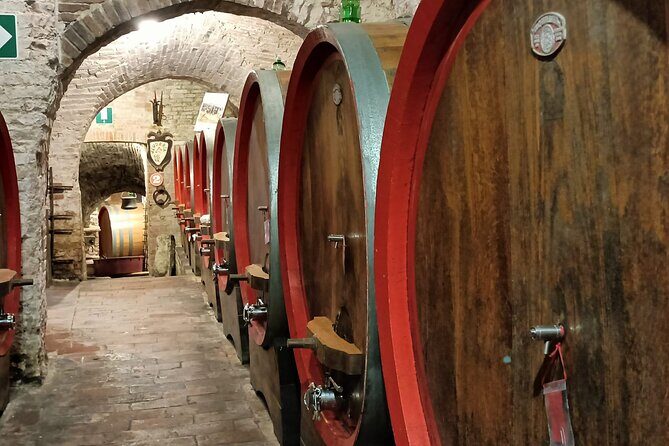 Small Group Tuscany Tour Montepulciano, Montalcino and Cortona - Transport, Group Size, and Overall Value