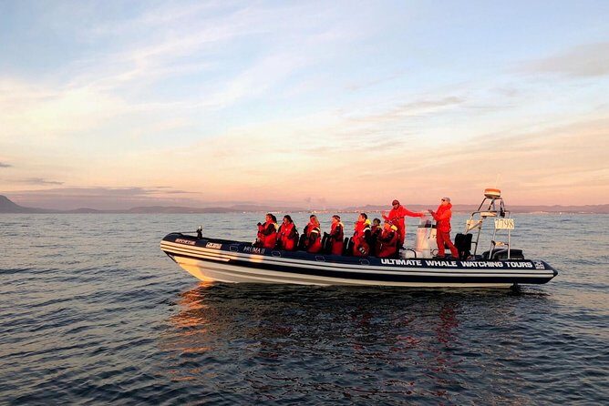 Small-group Whale Watching in the Midnight Sun from Reykjavík - FAQ