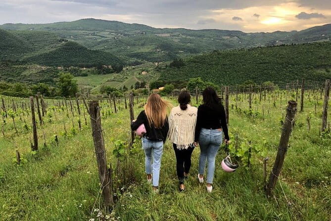 Small Group Wine Tasting in Tuscany with Vineyard Visit - The Vineyard and Its Setting