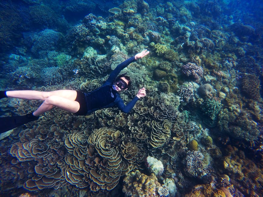 Snorkeler floating over a coral garden in clear water