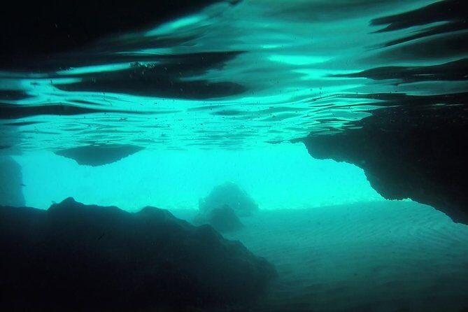Snorkeling among the Underwater Caves of Ischia Ponte - Why This Tour Works Well for You
