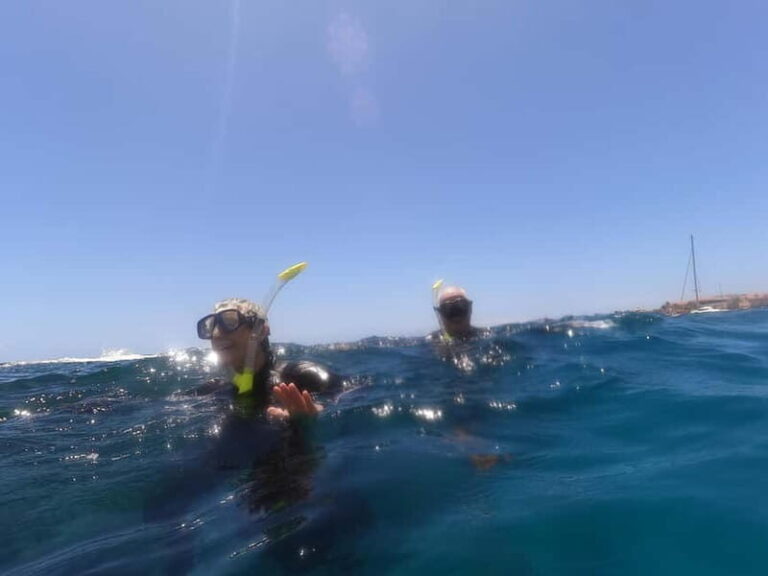 Snorkeling in tenerife south: Discover the underwater world - Why This Tour Offers Great Value