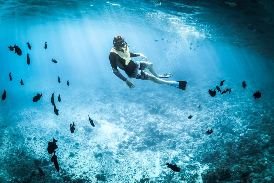 Person snorkeling among marine life in a tropical turquoise sea
