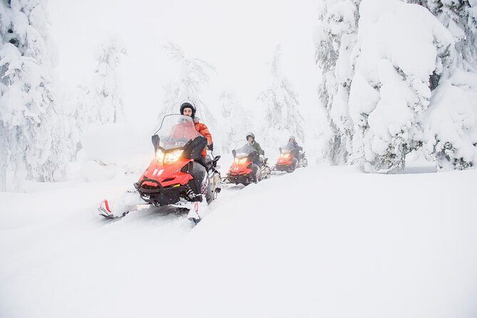 Snowmobile Adventure in Lapland - Who Should Consider This Tour?
