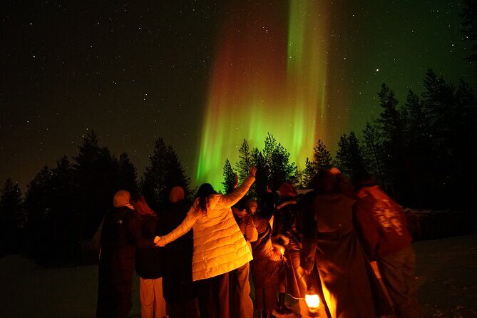 Snowmobile drive experience - The Experience in Context: What Makes It Special