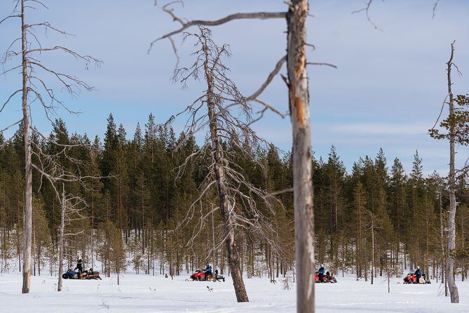 Snowmobile Safari into the Wilderness, Apukka Resort Rovaniemi - The Pros and Cons Based on Reviews and Experience
