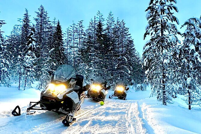 Snowmobile Safari to the Wilderness - The Itinerary: What Does a Typical Day Look Like?