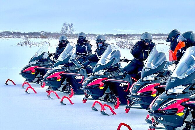 Snowmobile Tour by Lake Mývatn - Who Will Love This Tour?