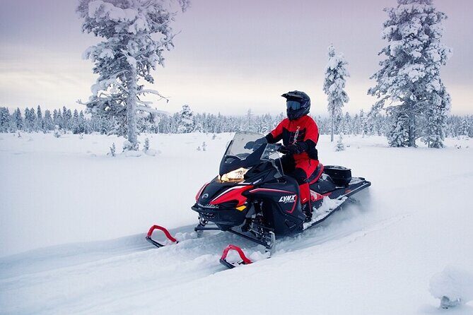 Snowmobile Tour with Small Group in Remote Wilderness 3 Hours - The Sum Up