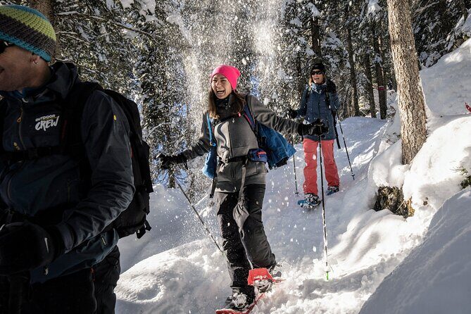 Snowshoe Adventure in the Swiss Alps - Is This Tour Worth the Price?