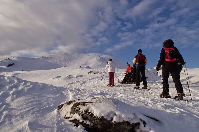 Snowshoe Hill Hike in Tromsø - What’s Included and Not