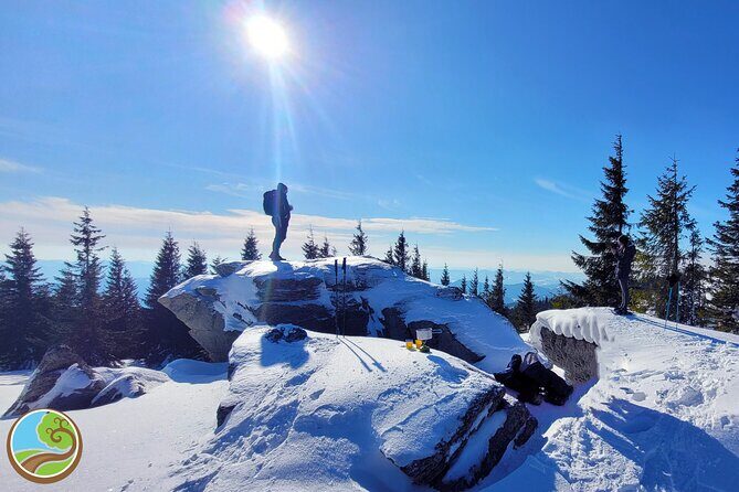 Snowshoeing Fun Tour from Cluj Napoca - The Return and Wrap-up
