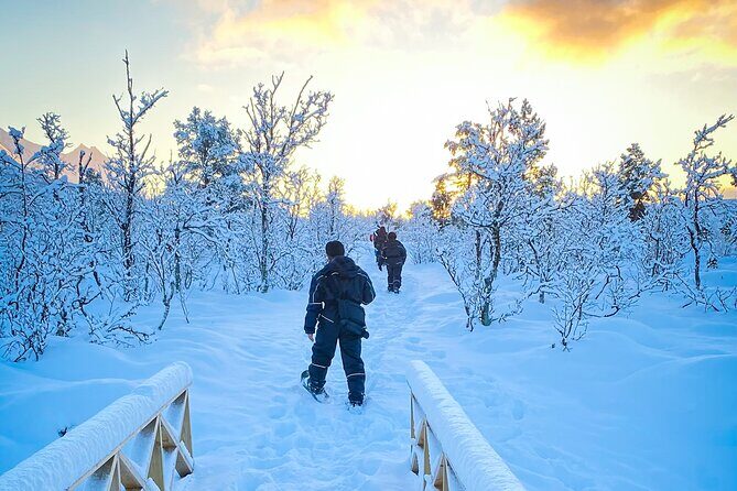 Snowshoeing with Aurora Crystal-Lavvo Overnight Stay from Tromsø - In-Depth Look at the Experience