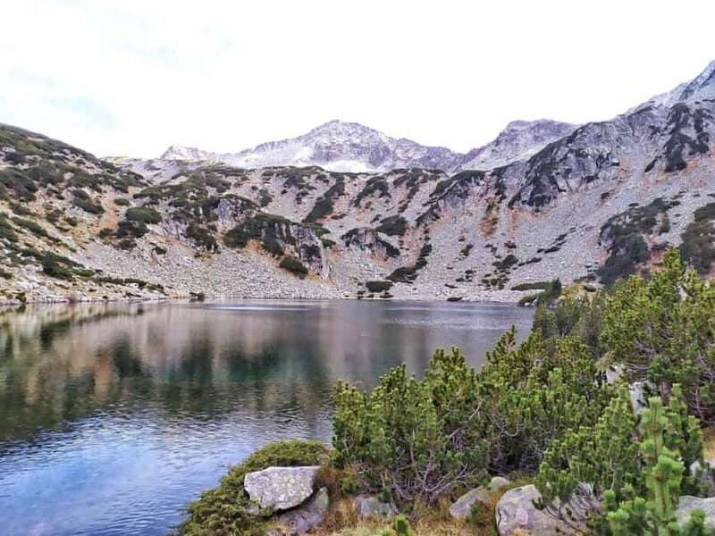 Sofia: Pirin National Park Hike & Bansko Visit - The Value of This Tour