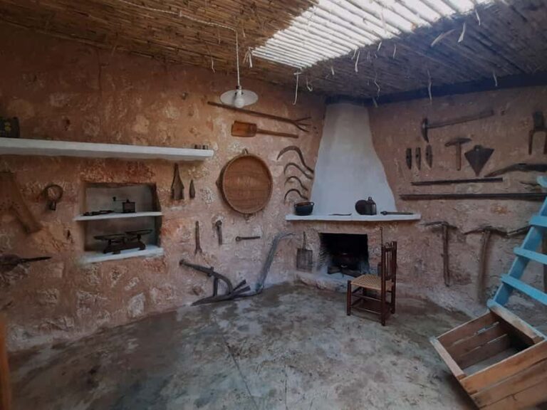 SOLLER: Olive Grove Experience, Oil Tasting & Picnic in the Tramuntana - Authentic, Scenic, and Educational: Who Will Love This Tour?