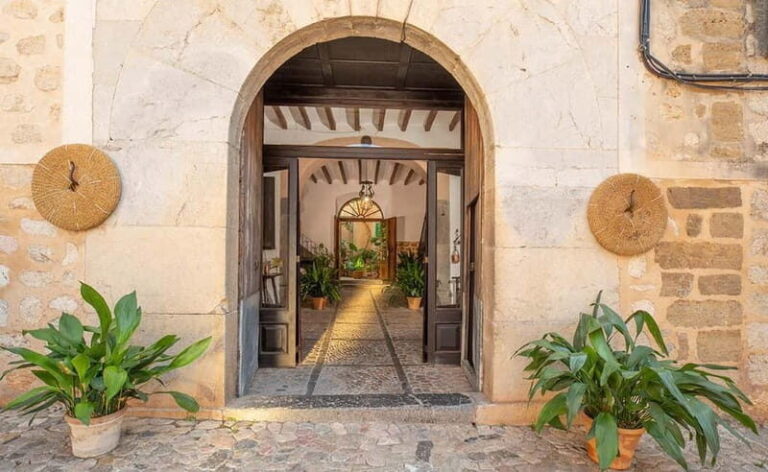 Sóller: Olive Oil Guided Tour and Tasting at Can Det Estate - Who Is This Tour Best For?