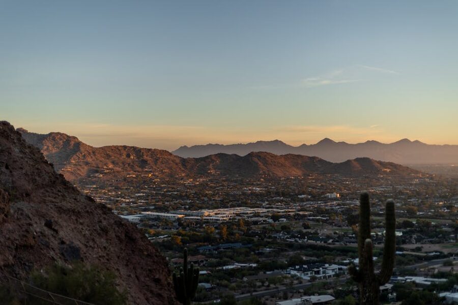 Phoenix cityscape with desert mountains and cacti at sunset