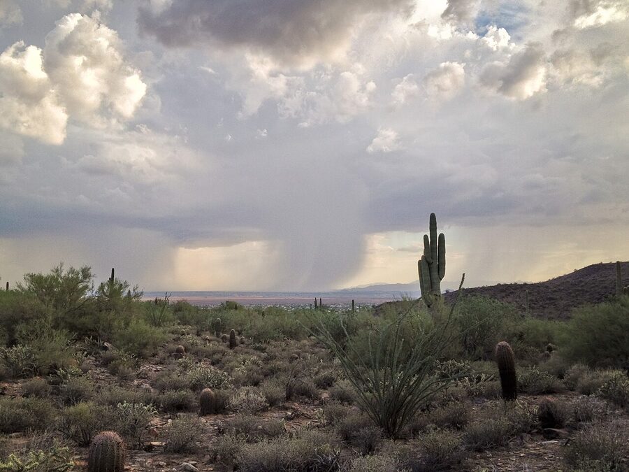 Arizona monsoon rain over the Sonoran Desert