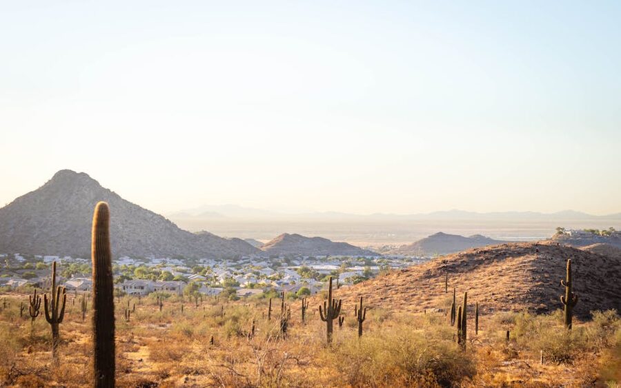 Arizona desert sunset with cacti and distant mountains near Phoenix