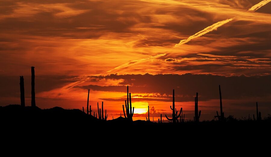 Sonoran Desert sunset with saguaro cactus and mountains in Arizona