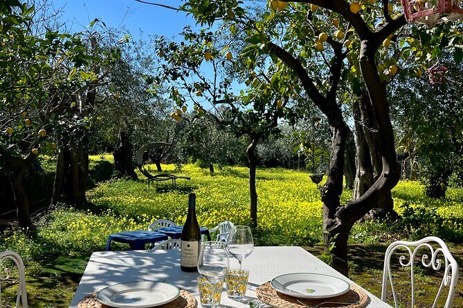 Sorrento : Cooking class & Wine Pairing with Sommelier by the Sea - What You Can Expect: A Detailed Breakdown