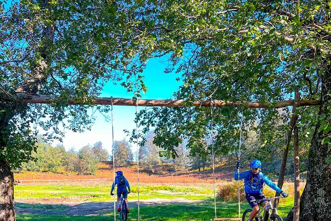 Sorrento e-bike adventure: olive oil and lemon tasting - What to Expect on the Tour