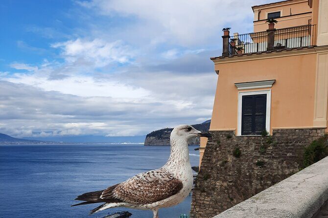 Sorrento grand tour off the beaten track with breathtaking landscapes - Why this tour is worth considering