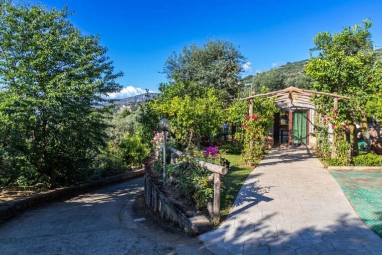 SORRENTO: Limoncello Making And Tasting Experience - Tasting and Desserts